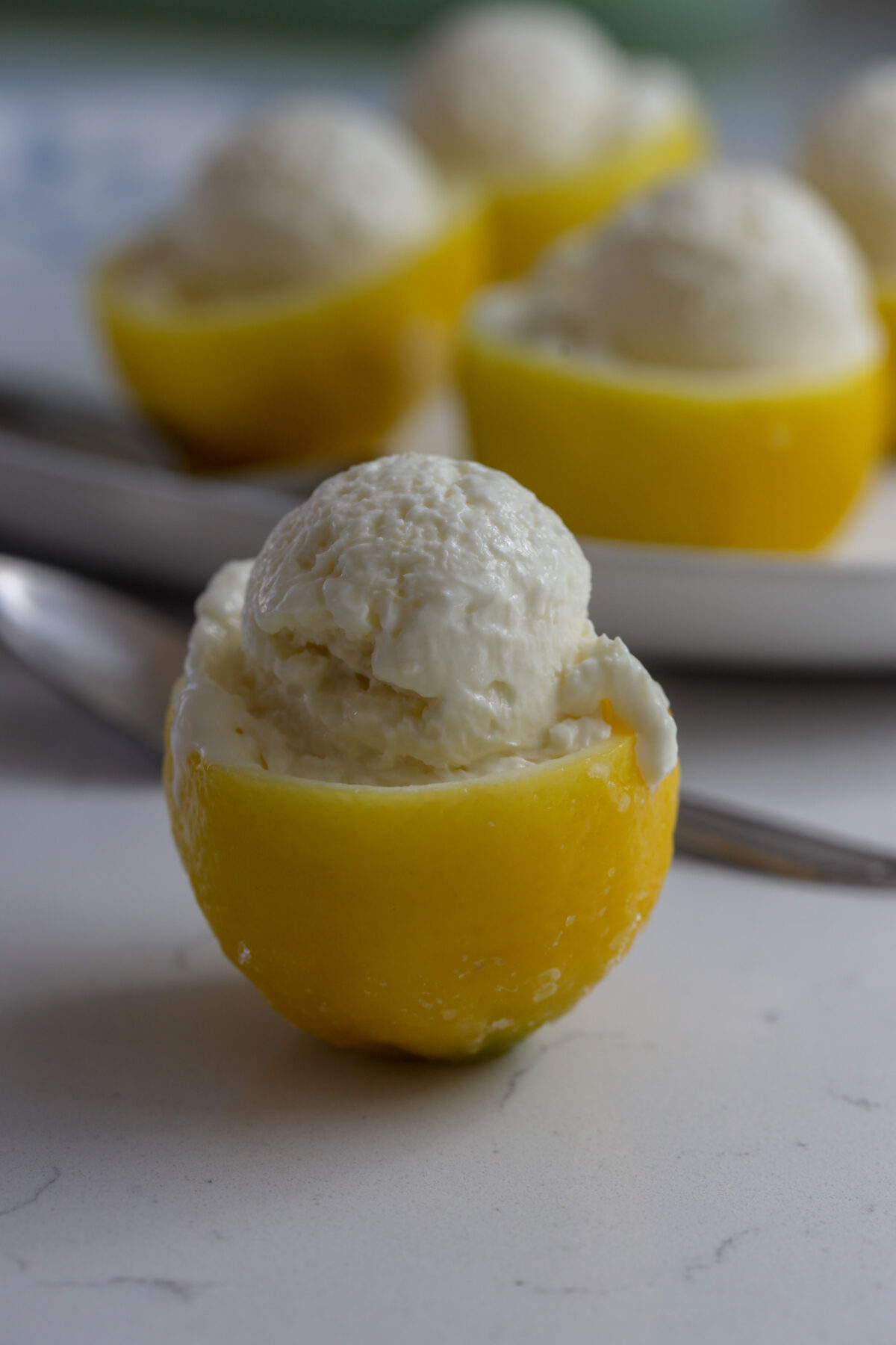 Frozen Skyr - Food My Muse