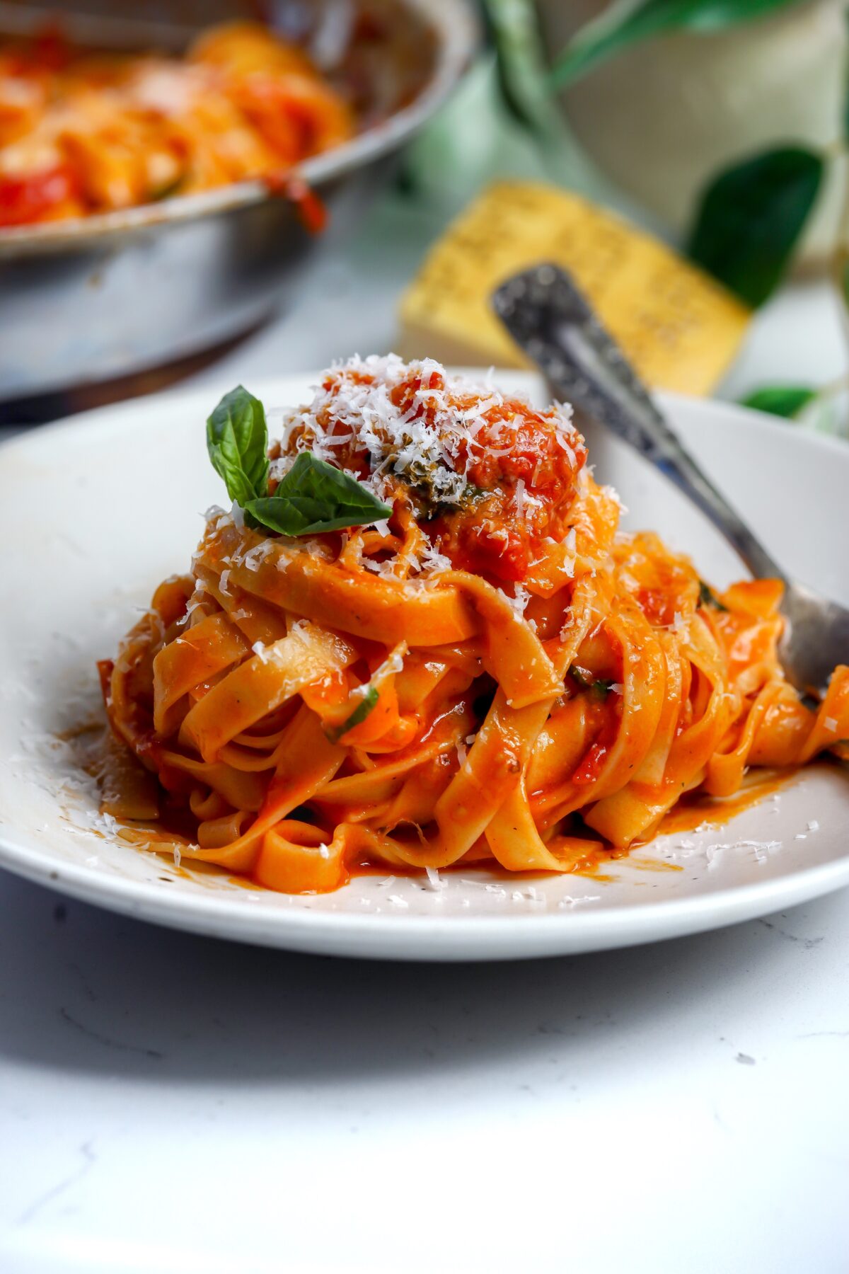 Tomato Tagliatelle - Food My Muse