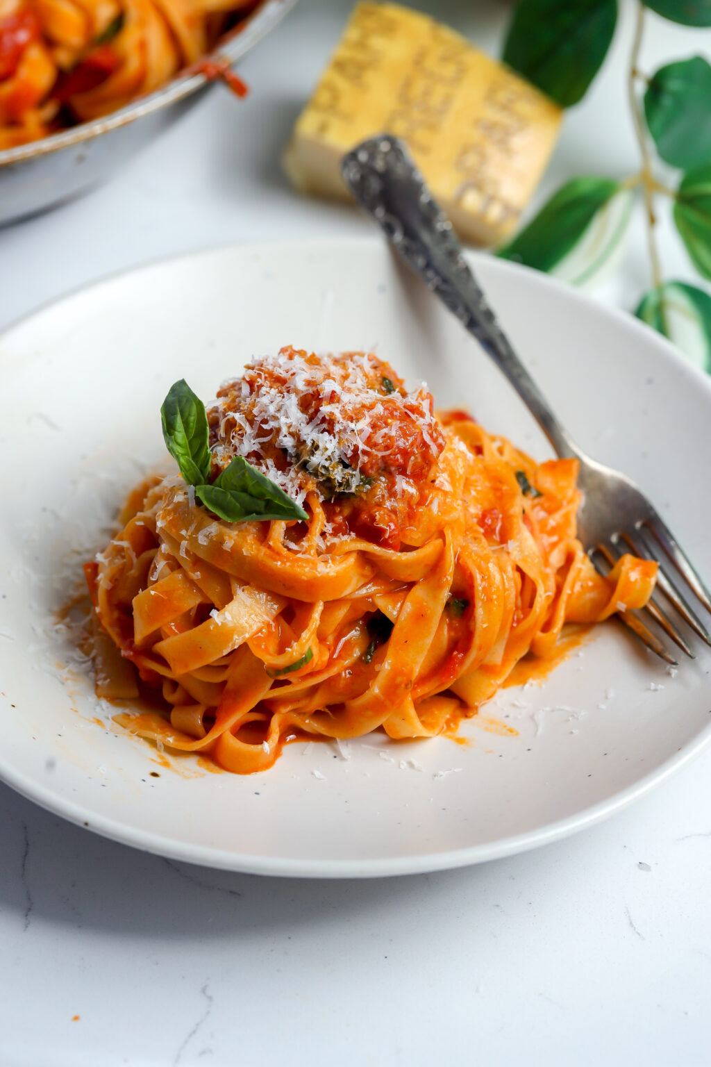 Tomato Tagliatelle - Food My Muse